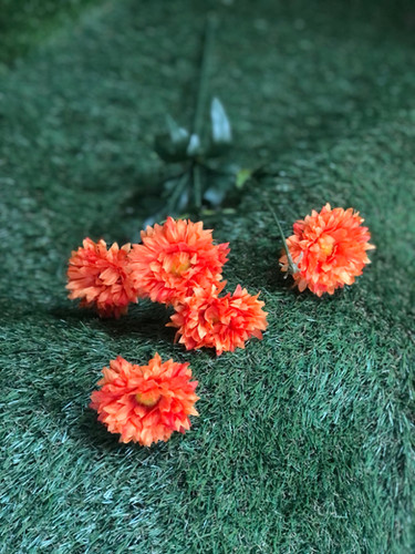 Daisy Stem Orange | Thistle And Fearne