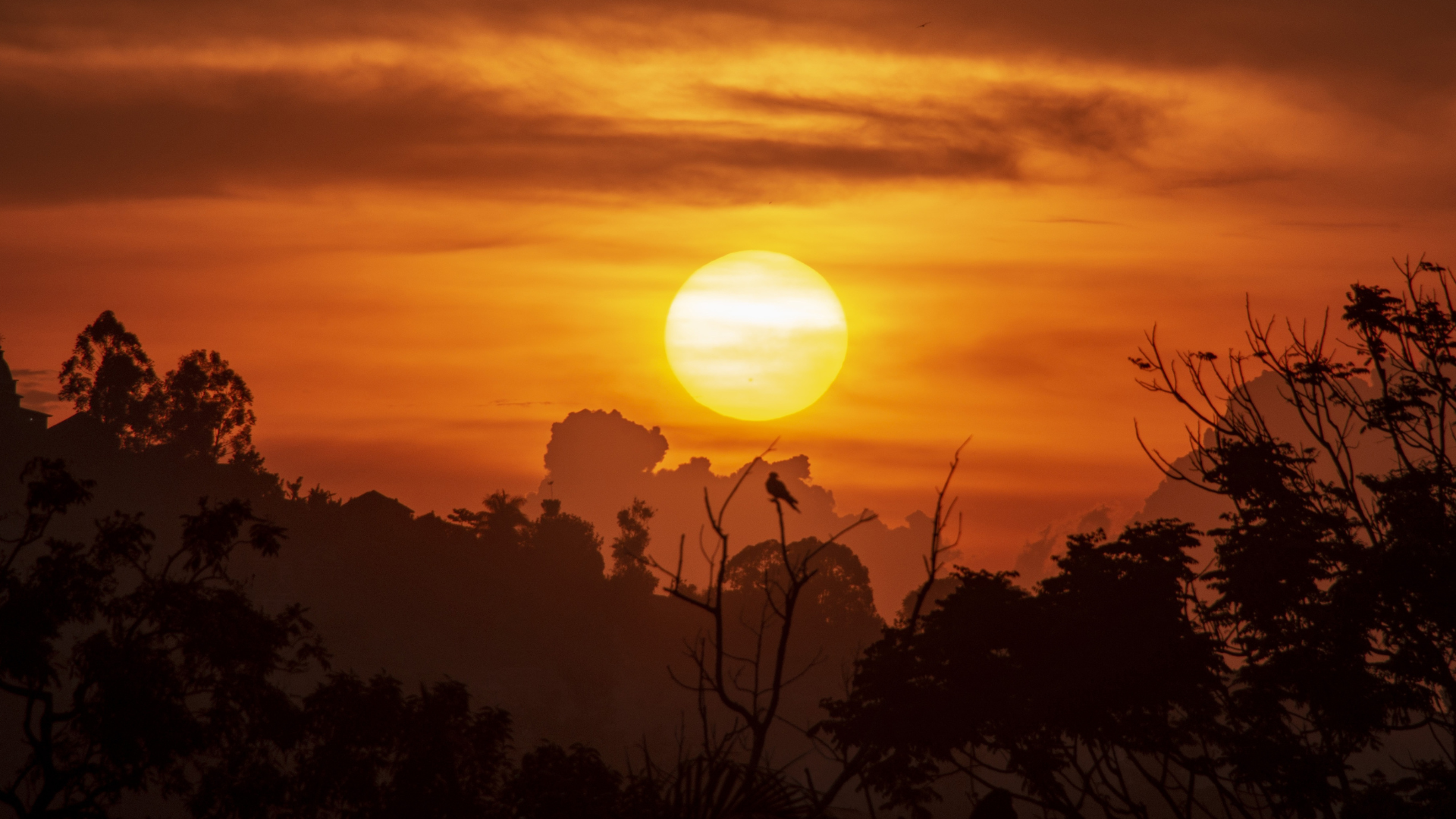 Protected Area Sustainable Tourism Guidelines & Standards