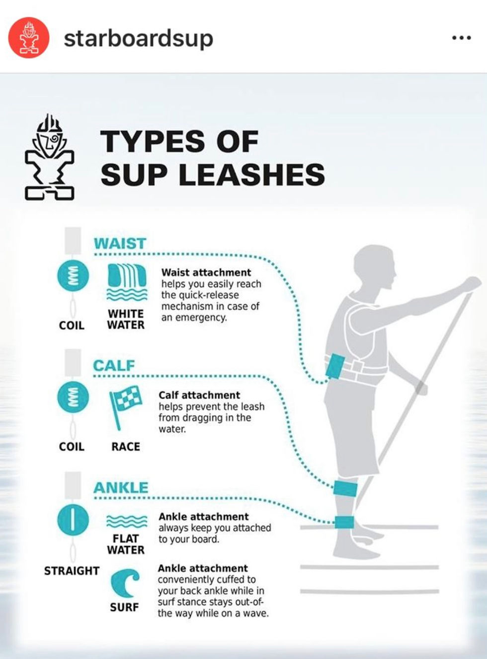 4 Reasons To Use Your Leash