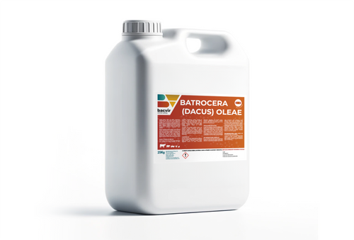 BATROCERA (DACUS) OLEAE | Bacvir