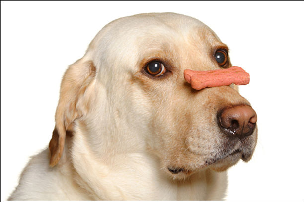 Self Control self-control