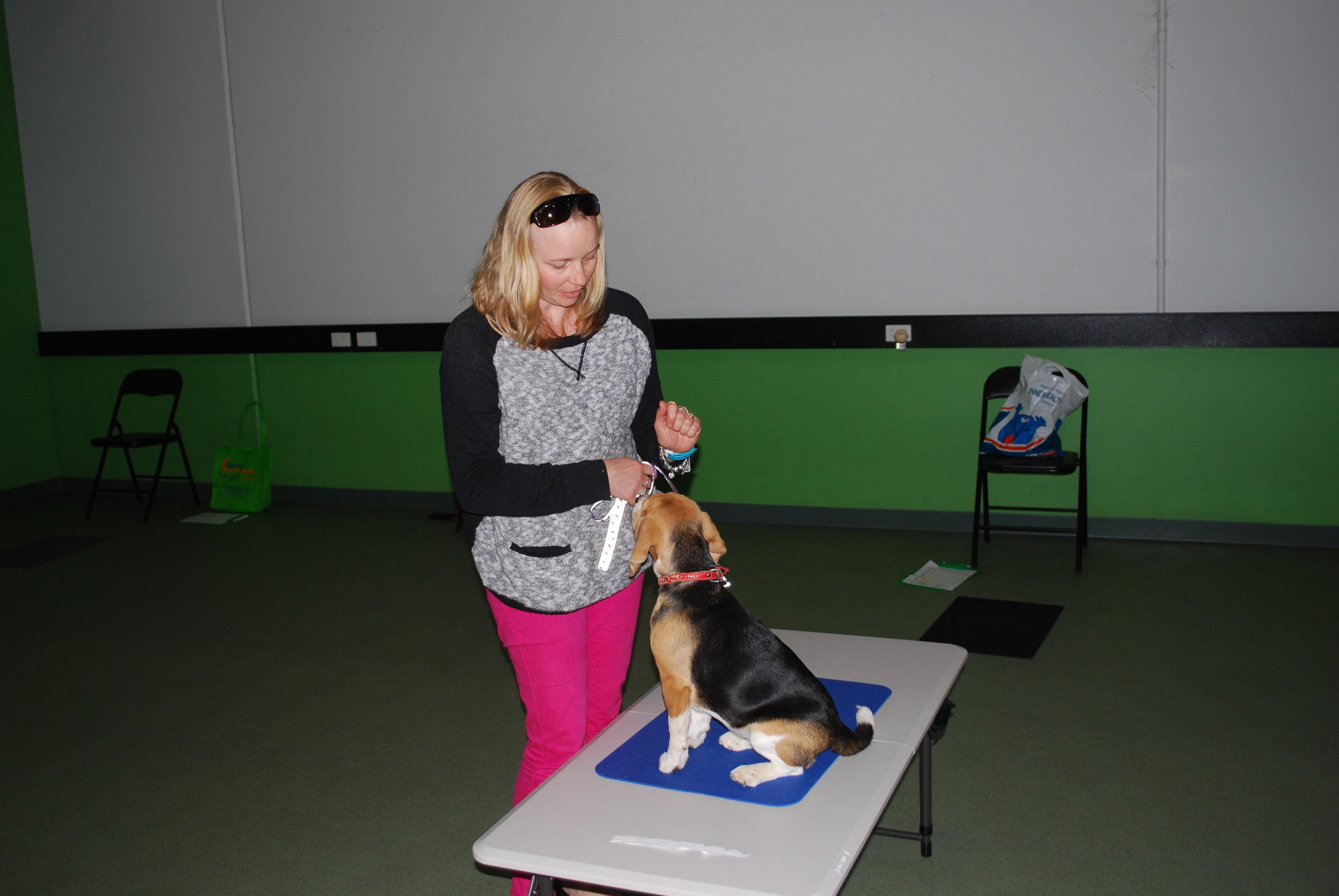 Positive Reinforcement Tips | PATS Perth's Animal Training Specialists