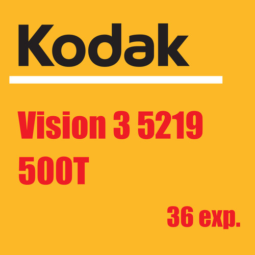 Kodak Vision 3 500T, 35mm | O O Photography