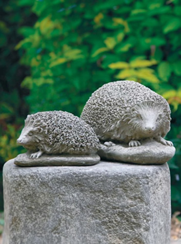 Small Hedgehog | Country Village