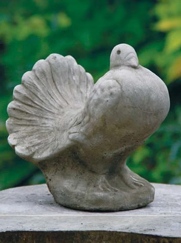 Dove | Country Village