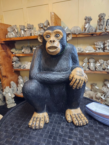 Monkey | Country Village