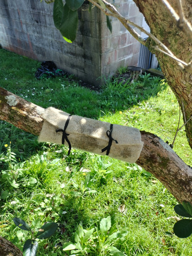 1M Tree Wrap - Codlin & Guava Moth control | Naturally Neem NZ
