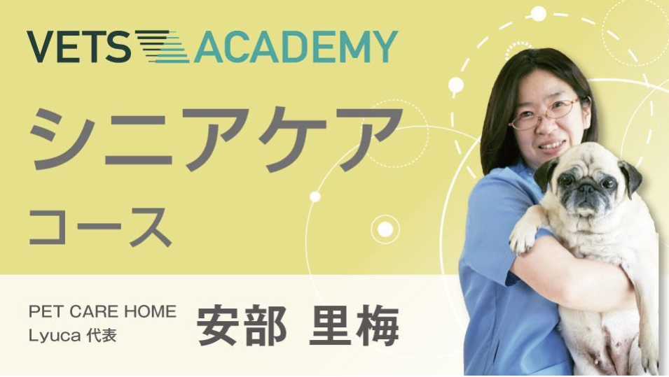 動物看護師向けセミナーのお知らせ