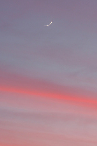 Cresent Moon Over Surfside | Seaworthy Nantucket