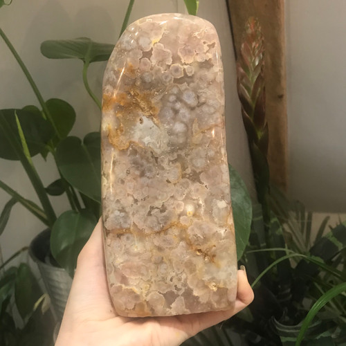 XL Pink Flower Agate freeform Fossilised Corals from Madagascar ...