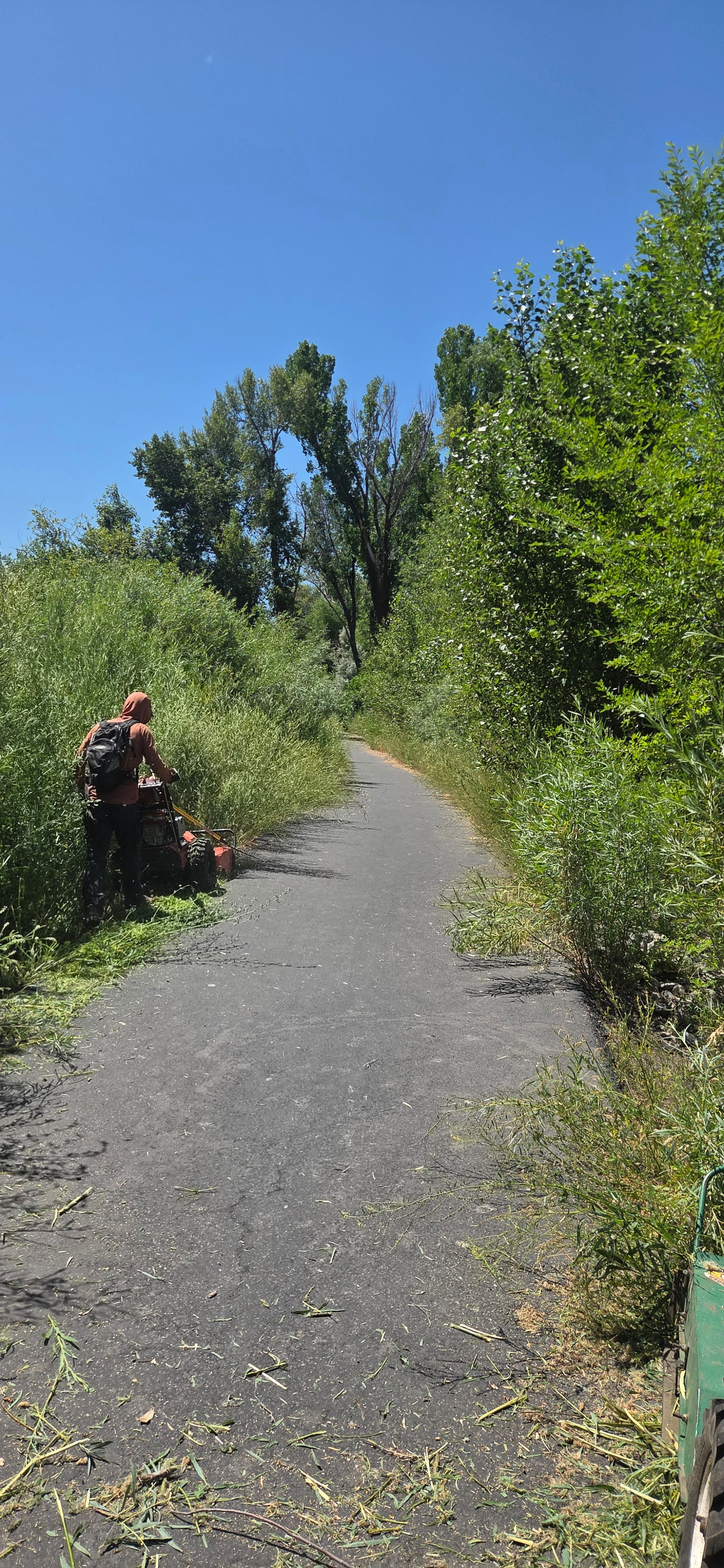 Pineview Loop Pathway - Eden | EDEN VALLEY TRAILS