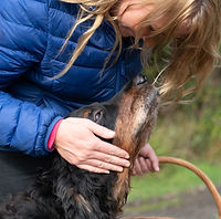 About | Never Mind the Burdocks