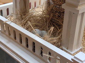 Services | Robins Nest Aviaries & Aquariums