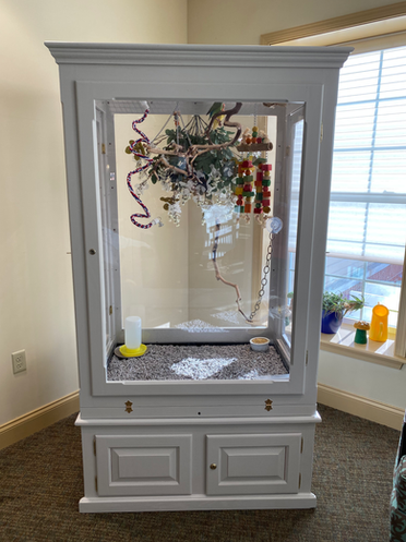 Aviaries | Robins Nest Aviaries & Aquariums