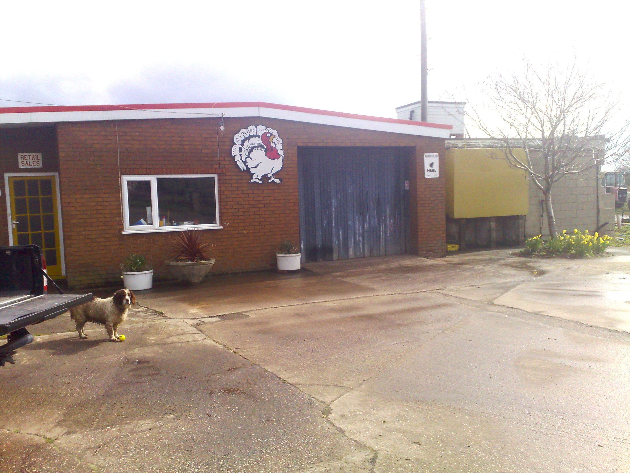 Stanacre Poultry Co. Ltd. | Farm Shop in Wakefield | Christmas Turkeys