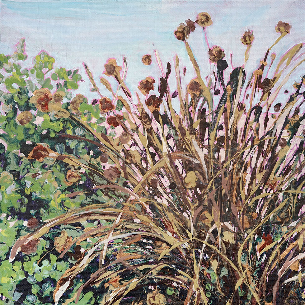 Nic Everist Visual Artist