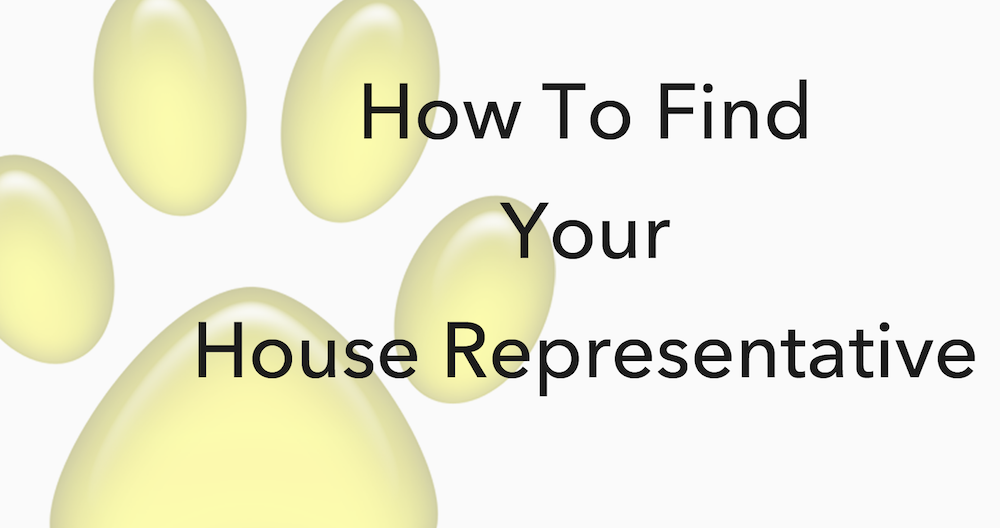 How To Find Your House Representative - NH