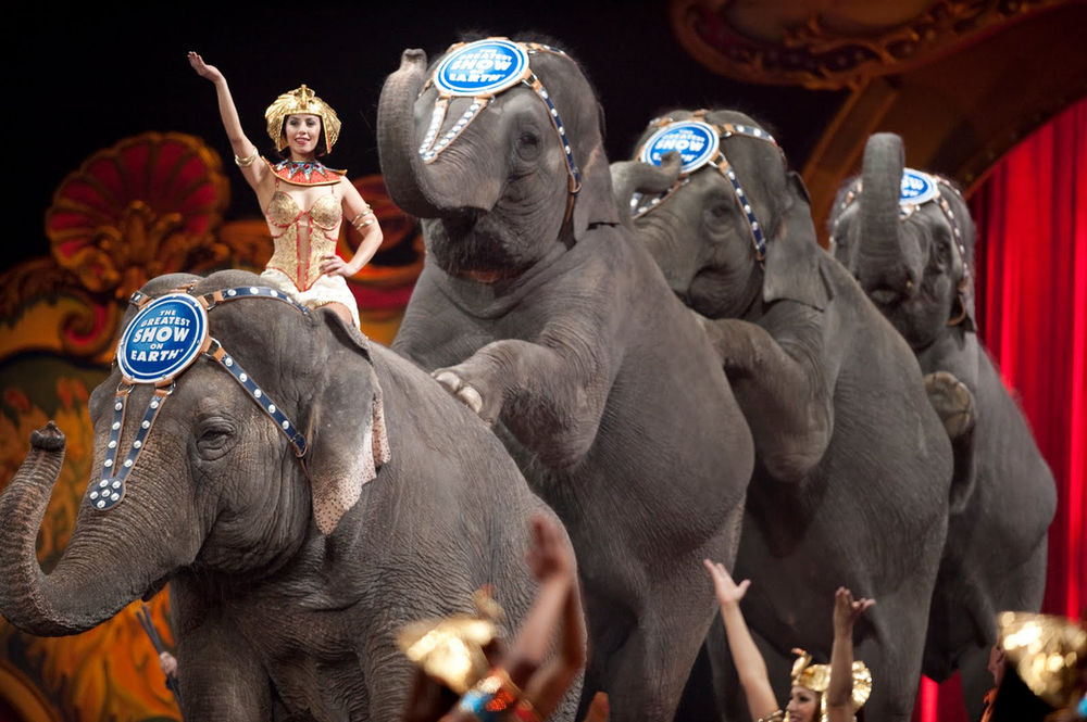 The Circus Challenge: Do Not Buy Circus Tickets Before Reading This