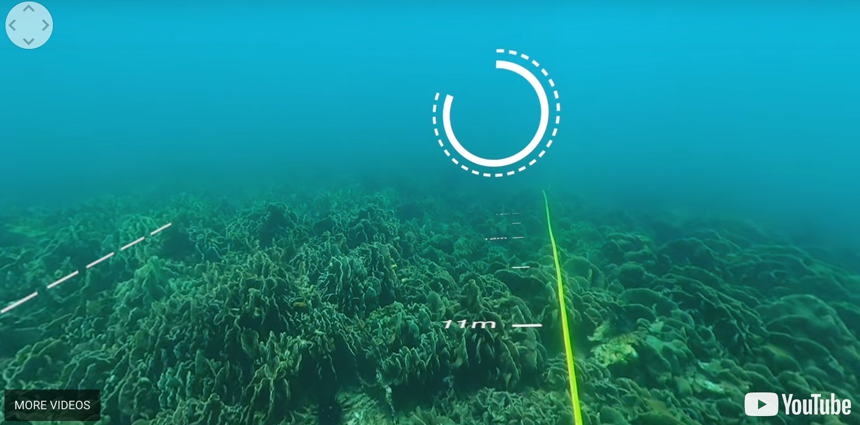 360° VR Underwater Hong Kong | Coral Academy