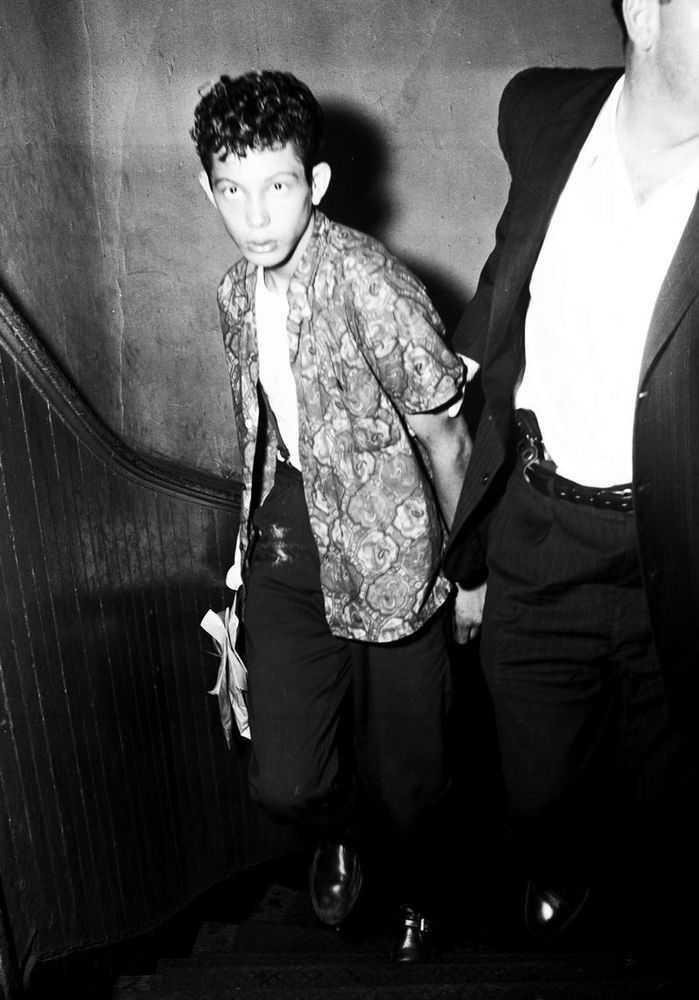 Rebels Without A Cause: The Lost History of 1950's Youth Gangs