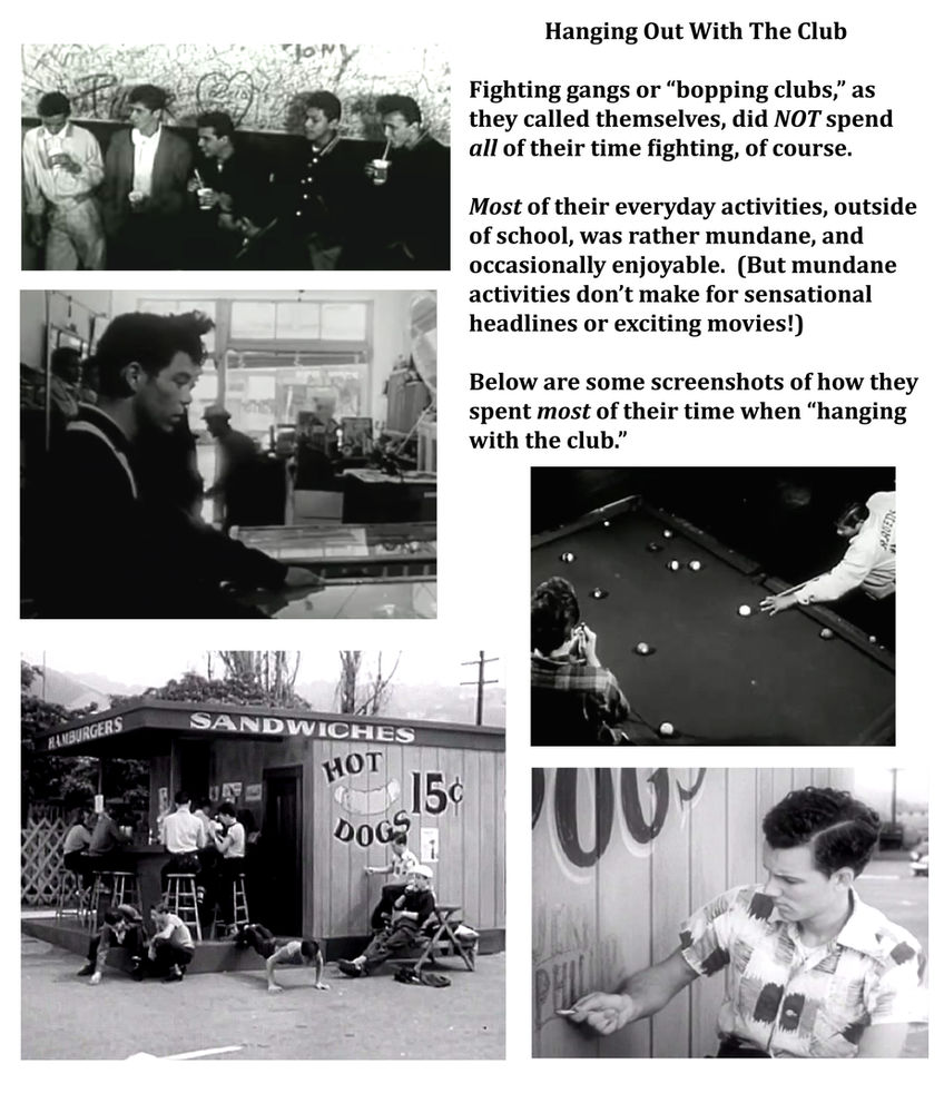 Rebels Without A Cause: The Lost History of 1950's Youth Gangs