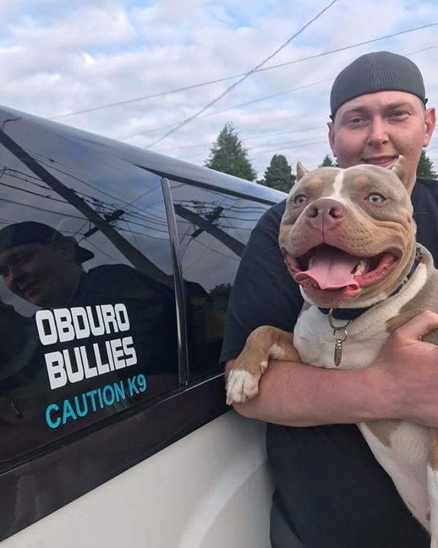 Home | ObduroBullies