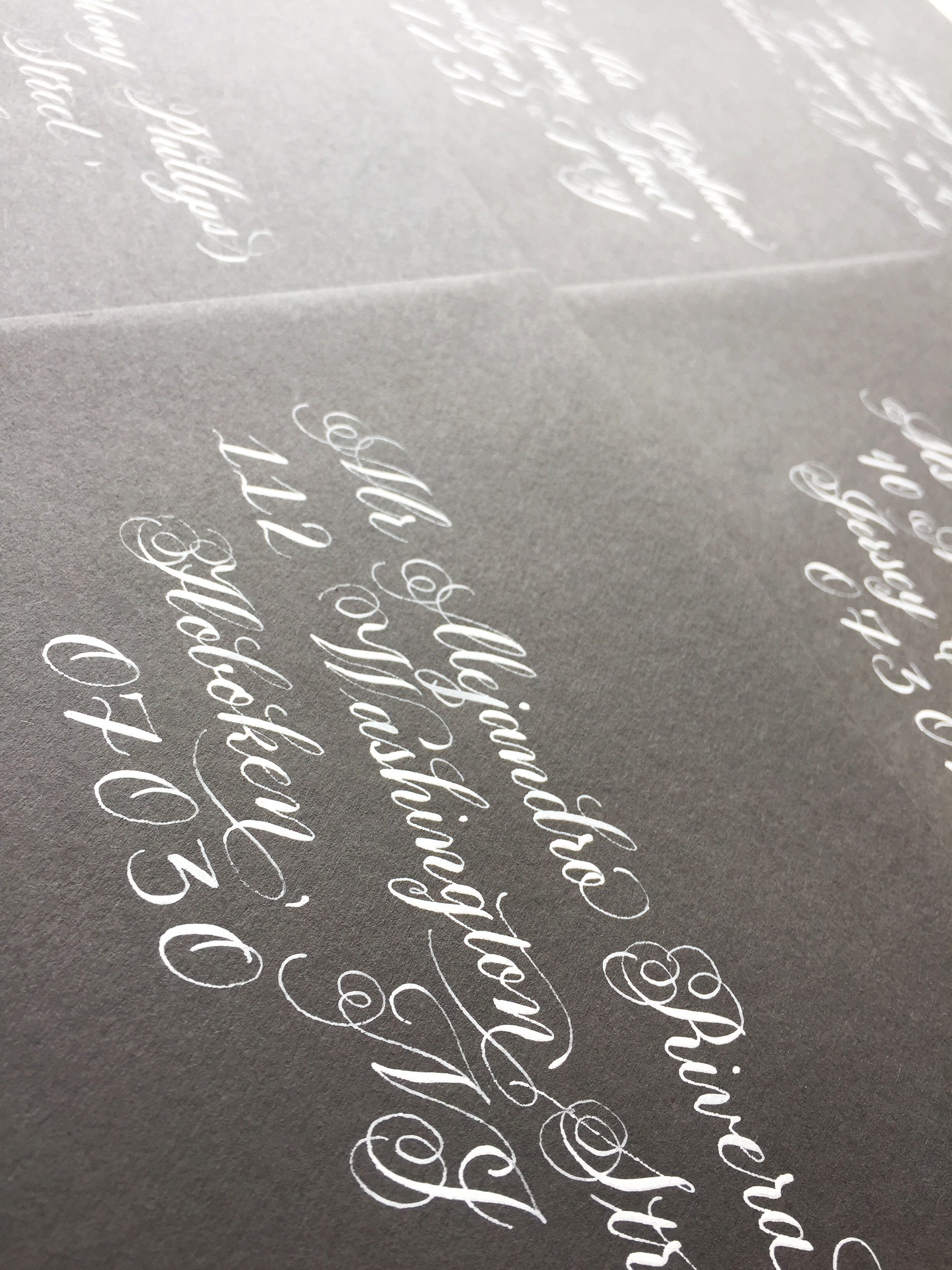 Calligraphy & Illustration | Amsterdam, Netherlands | Letter and Vine