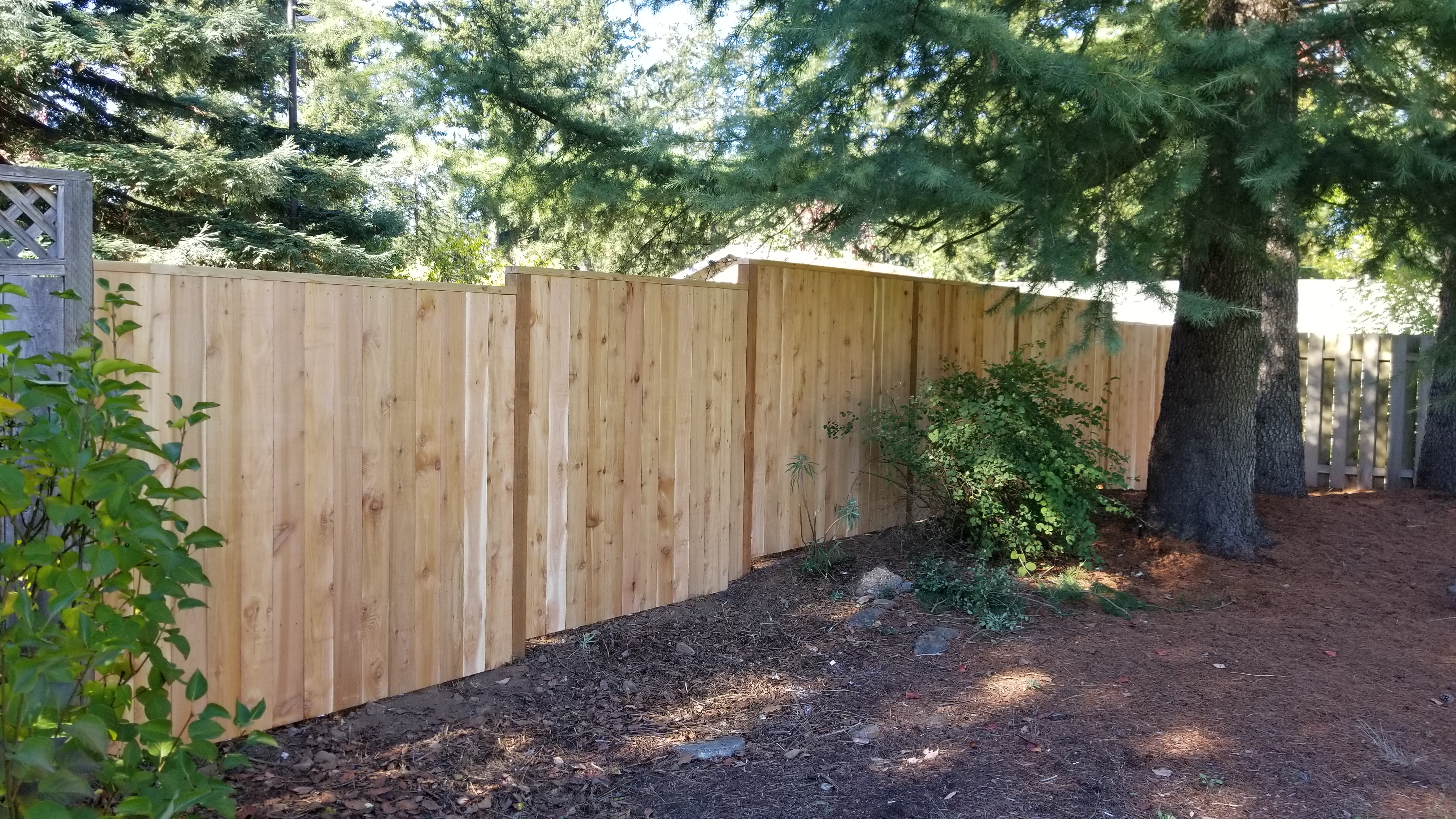 timber fence construction