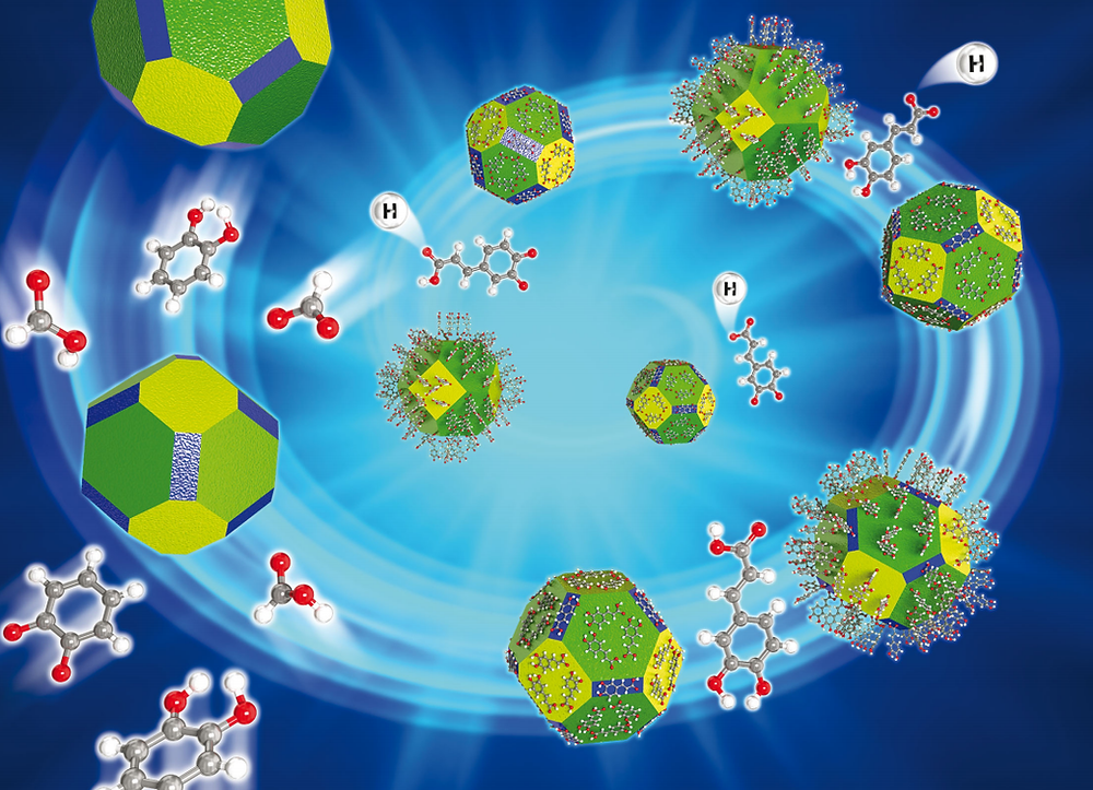 Effect of caffeic acid adsorption in controlling the morphology of gold ...