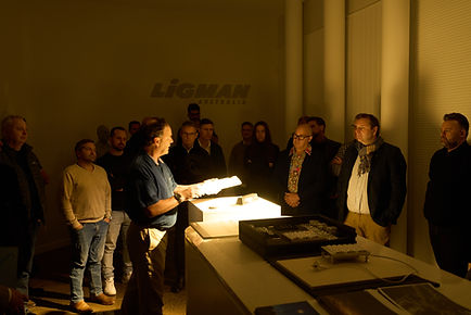 THE LUMEN ROOM | Ligman Australia