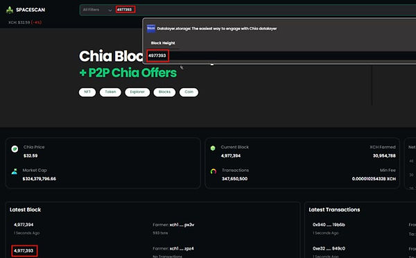 Chia block explorer overview | Tanggang On Chia