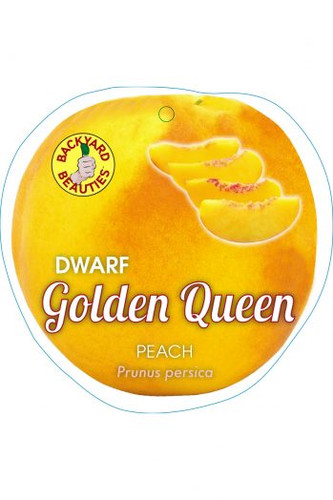DWARF GOLDEN QUEEN PEACH | Gippy Garden Plants