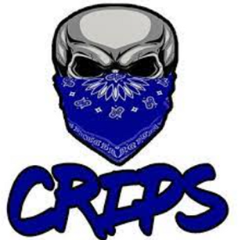 Gliederung | Crips Konzept