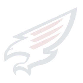 Oths Falcon Logo