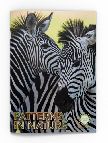 PATTERNS IN NATURE | Enlighten Press