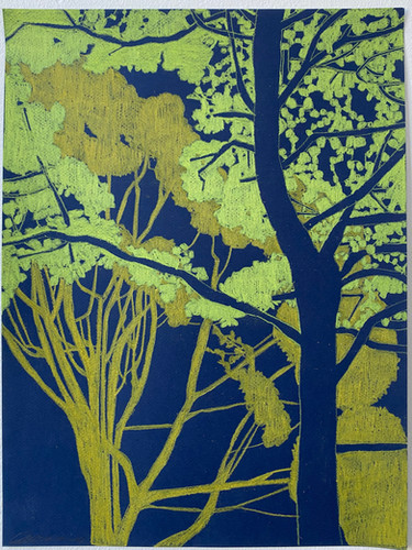 Tree Study 2, original drawing | clare-halifax-art