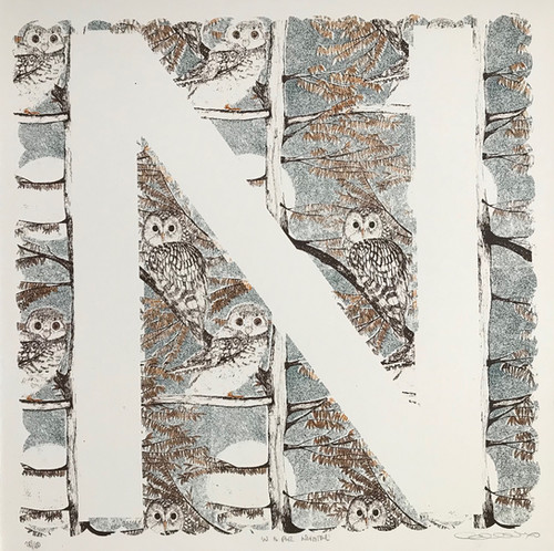 N is for Nightowl | clare-halifax-art