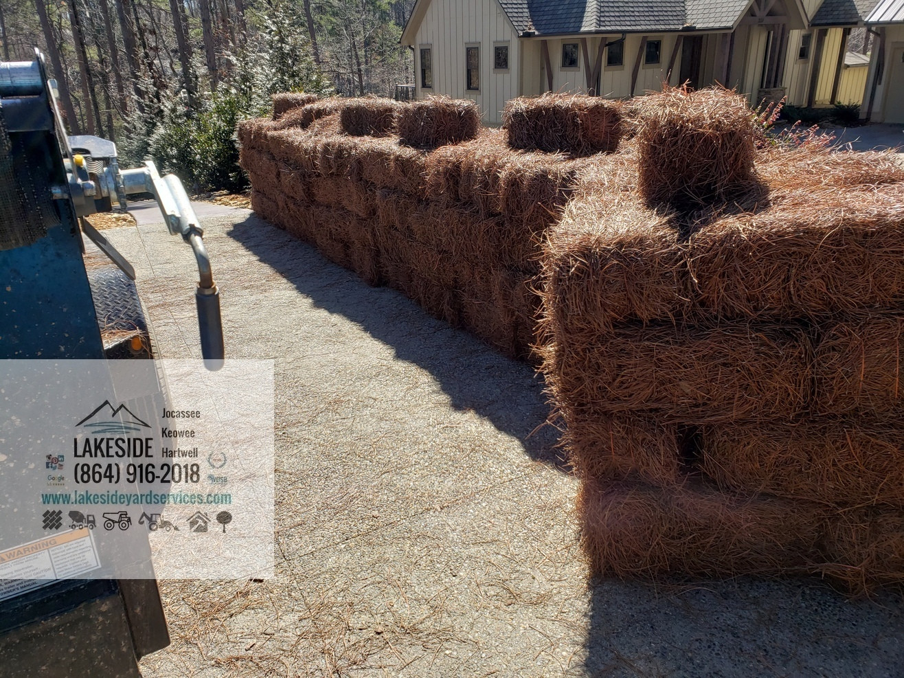 Why Put Pine Straw Around Trees at Brenda Miguel blog