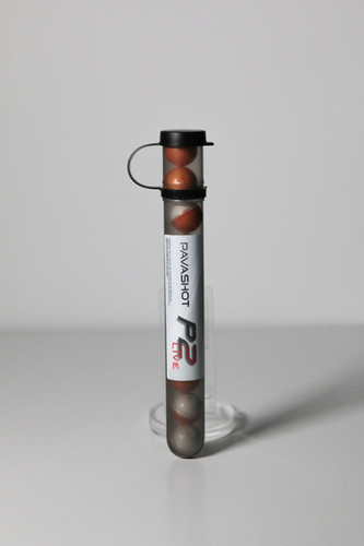 P2 PAVA Projectiles 10-Count – Affordable Less-Lethal Defense | PAVASHOT