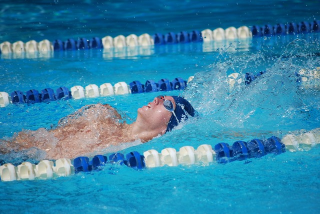 Swim Team | whitehallpool