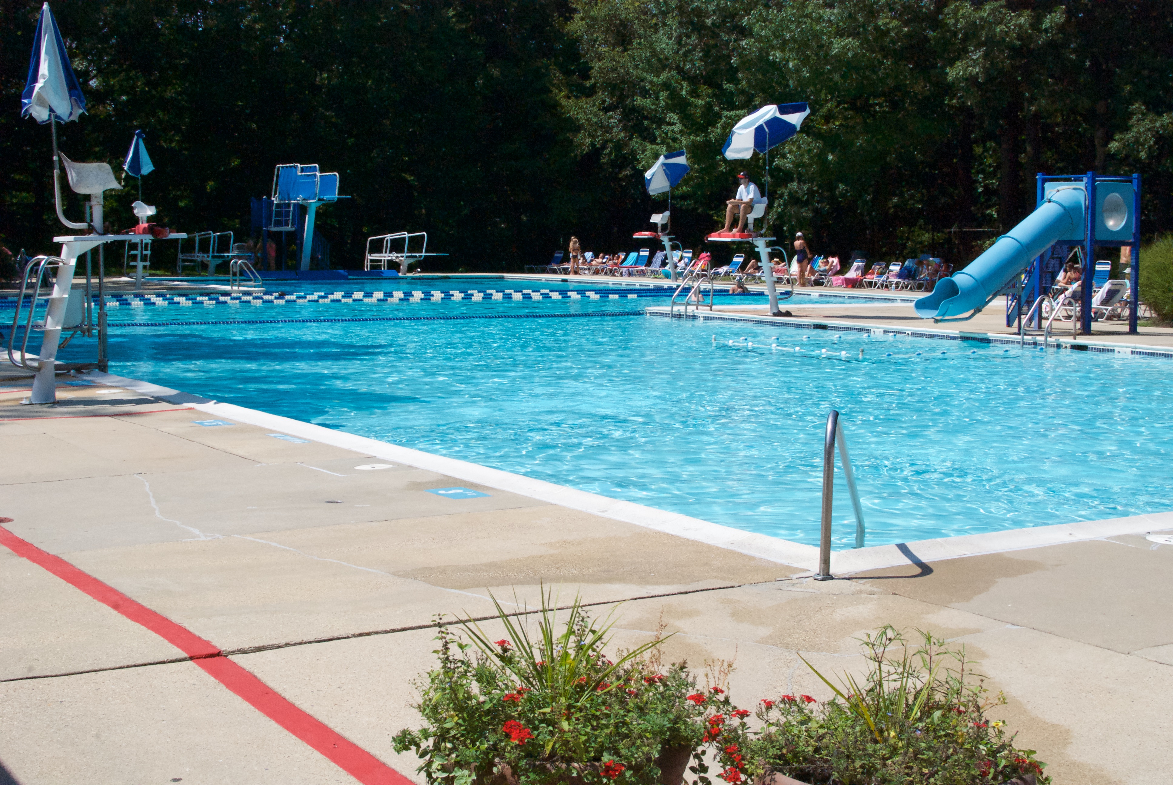 HOME | whitehallpool