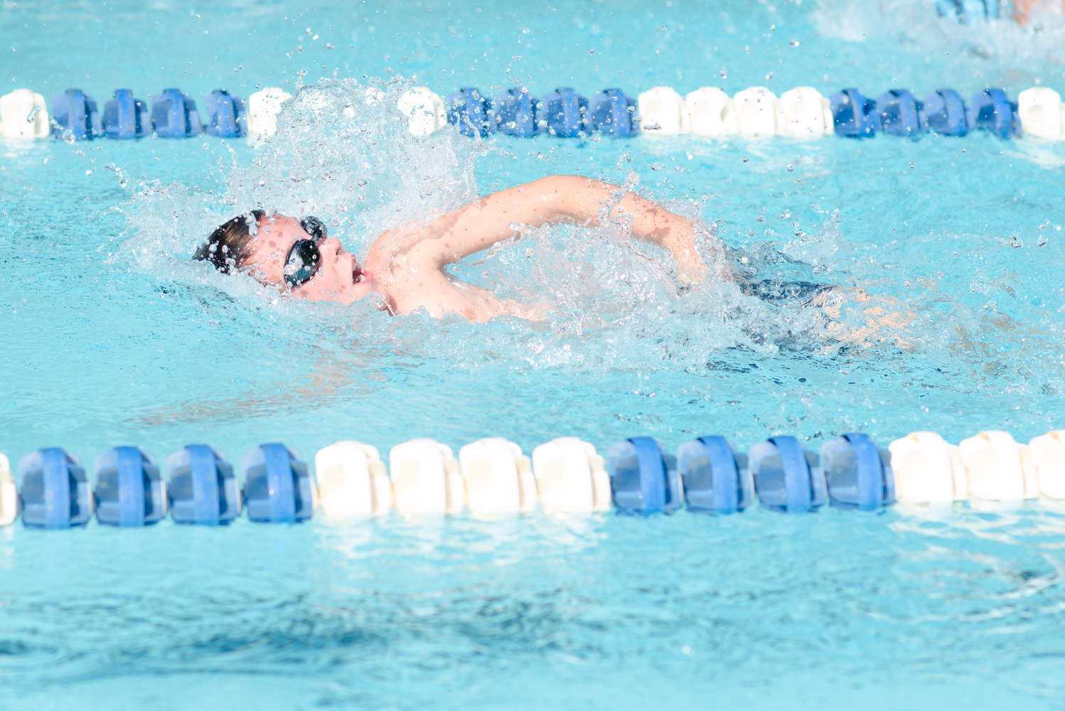 Swim Team | whitehallpool