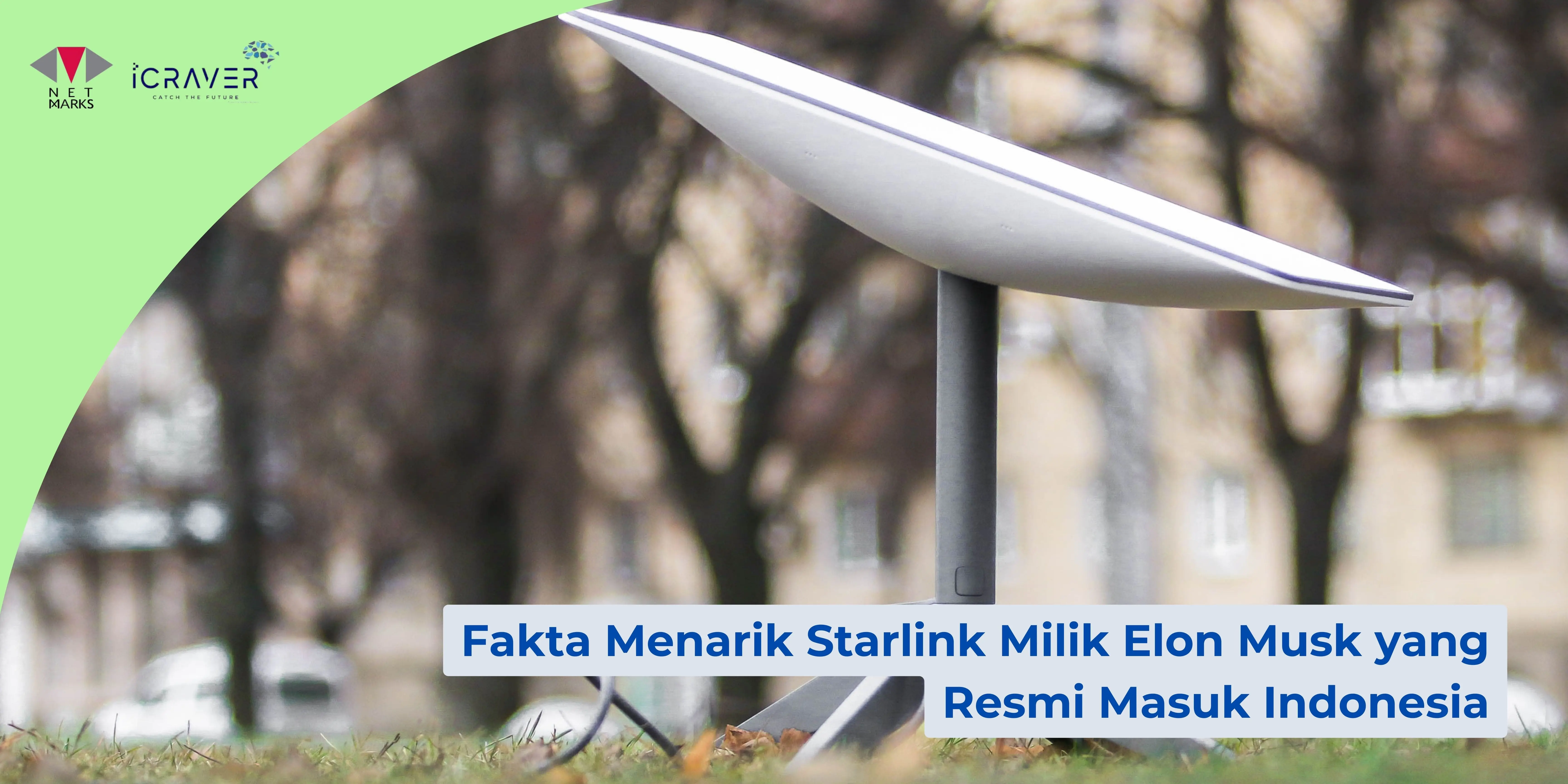 Blog | Netmarks Indonesia