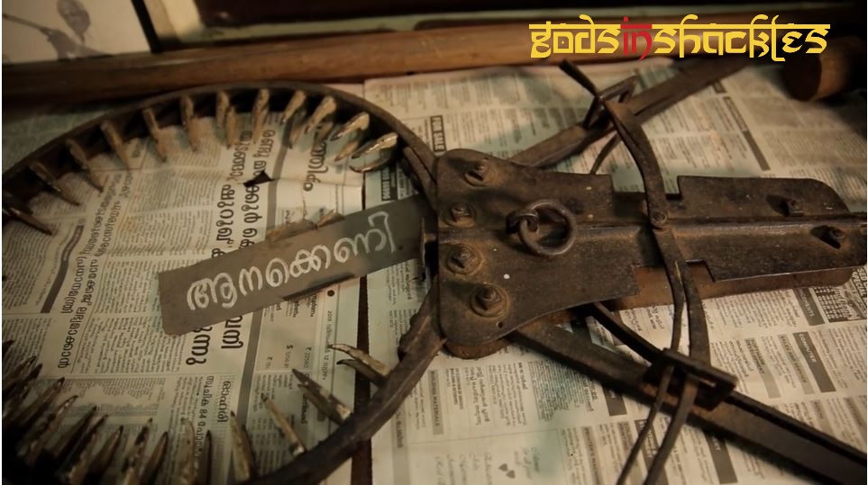 Think before you ride that elephant: What you need to know about the ...