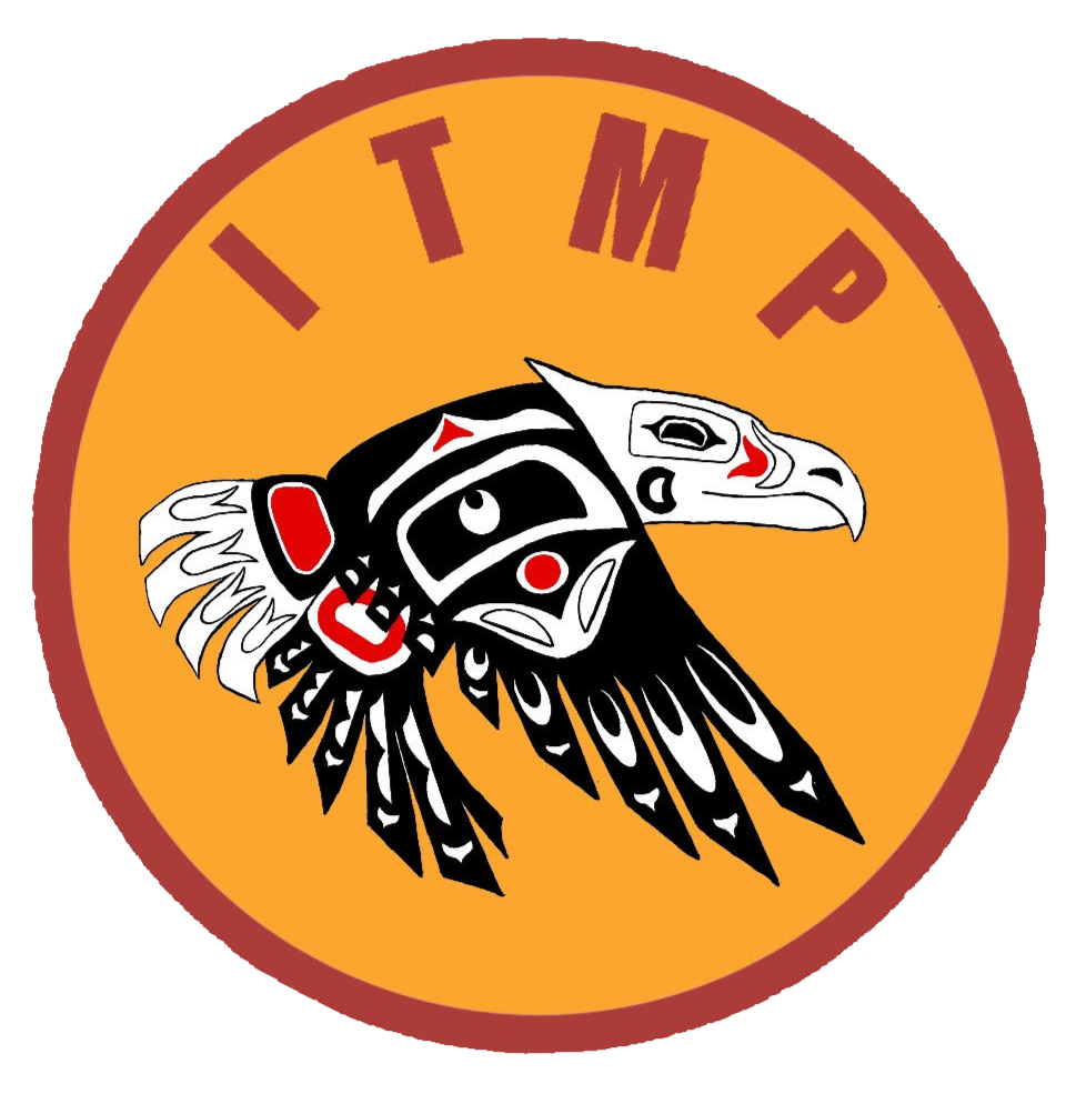 Home | Indigenous Tutoring & Mentoring Program