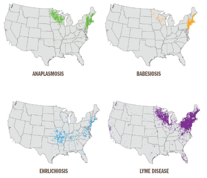 Tick-Borne Diseases in the Northeast