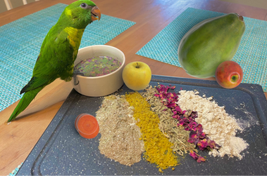 Lory Food | Lories Choice Premium Lory Food