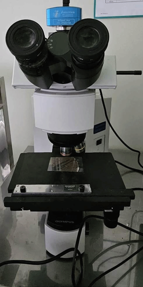 OLYMPUS BX41RF-LED Microscope | rescience