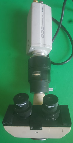 OLYMPUS U-PMTVC MICROSCOPE HEAD | rescience