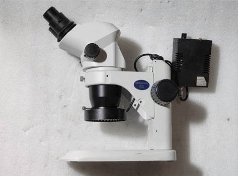 Olympus SZ61 Stereo Microscope | rescience